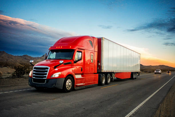 Alvi Brothers LLC | Premium B2B Supplier & Distributor in USA